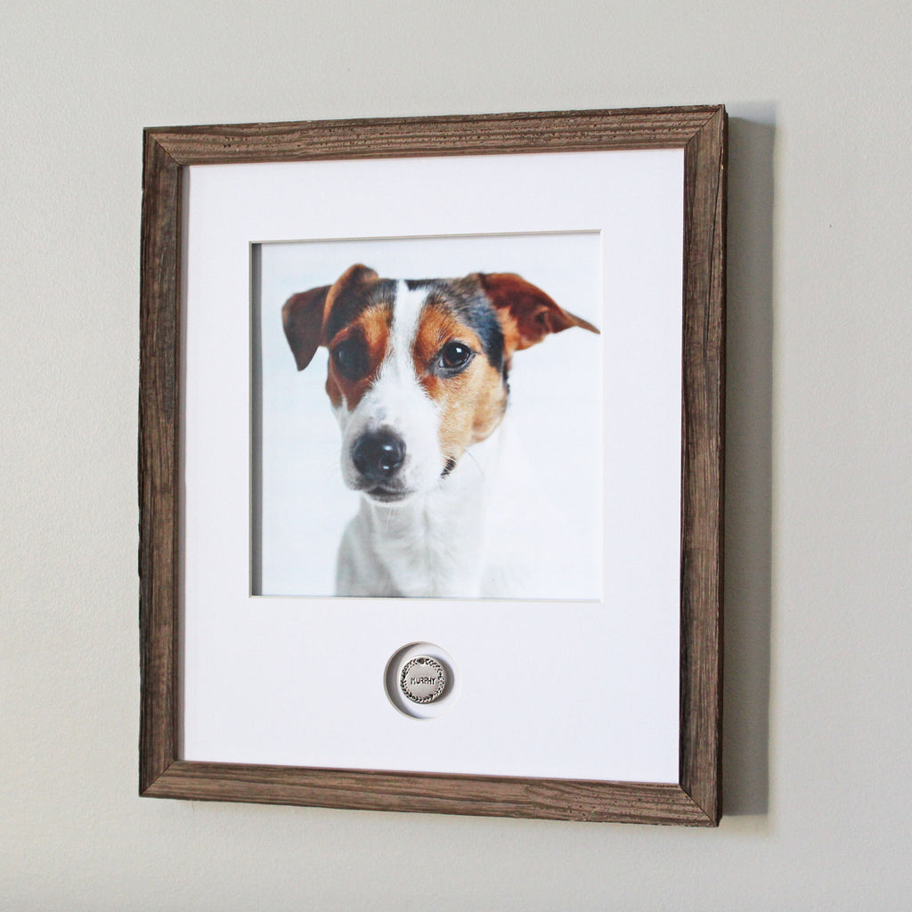 Pet Memory DIY Frame Kit – The CoinArt Company